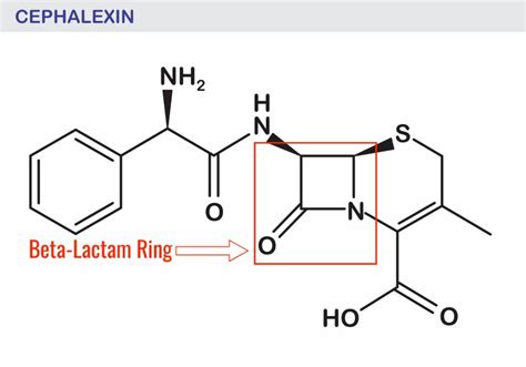 Cross Reactivity Of Beta Lactam Antibiotics