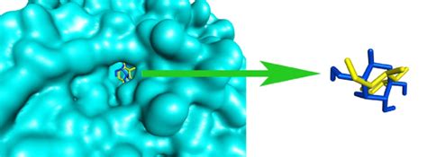 Validation Of The Docking Protocol Through The Re Docking Of The Cci