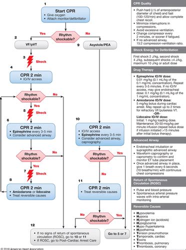2018 Aha Pals Update Nothing New Emergency Medicine Kenya Foundation