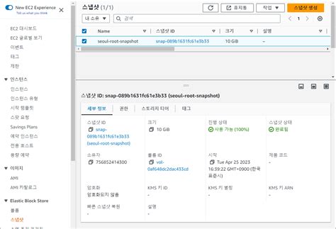 Aws Ebs Ebs Snapshot Ami