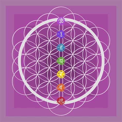 Flower Of Life Seven Circles Best Flower Site