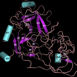 The Potential Tertiary Structures Of Sp CSP The Tertiary Structure Was Download Scientific