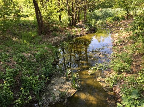 How To Build The Todo App With Svelte By Cristian Salcescu Frontend Essentials Medium