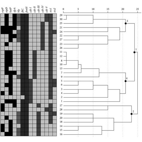 Dendrogram Using Average Linkage Between Groups This Figure