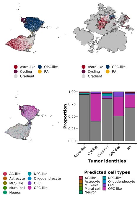 Tumor Heterogeneity And Tumor Microglia Interactions In Primary And Recurrent Idh1 Mutant