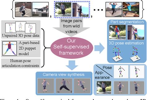 Figure 1 From Self Supervised 3d Human Pose Estimation Via Part Guided Novel Image Synthesis
