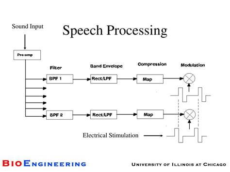 Ppt Cochlear Implants Powerpoint Presentation Free Download Id92128