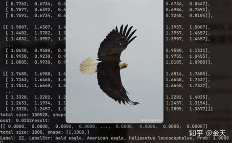 Wnnx 从零做 Ai 推理引擎（七）一款面向产品经理的 Ai 推理引擎，这一次来说说 Python Binding 知乎