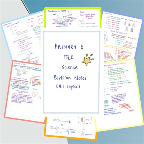 Psle Science Notes Handwritten Hobbies And Toys Books And Magazines