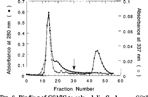 Figure 2 From A Calmodulin Binding Peptide Of Caldesmon Semantic Scholar