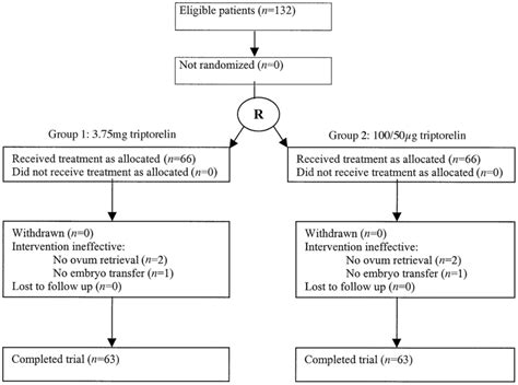 Progress Through The Various Stages Of The Trial R Randomization Download Scientific Diagram