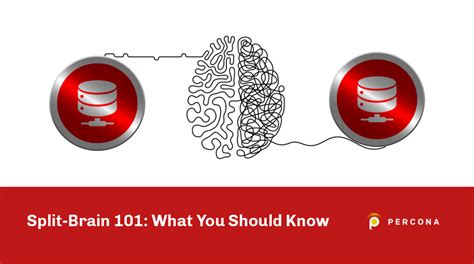 Split Brain 101 What You Should Know