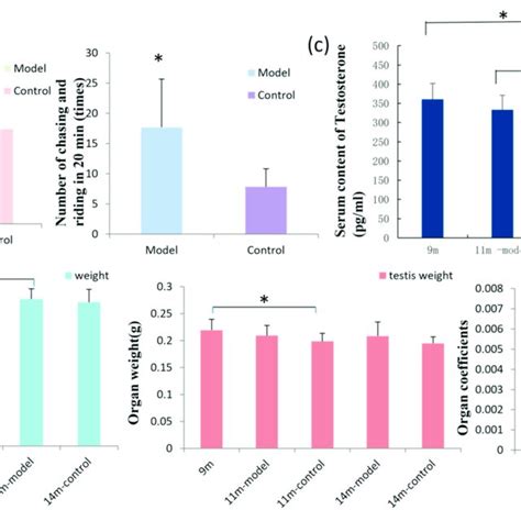 Detection Of Male Physiological Indexes In Mice A The Mating Latency Download Scientific