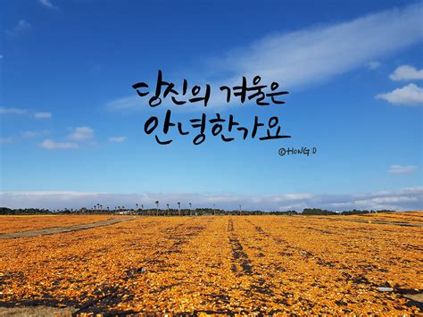 홍디의 탐나는 끄적임