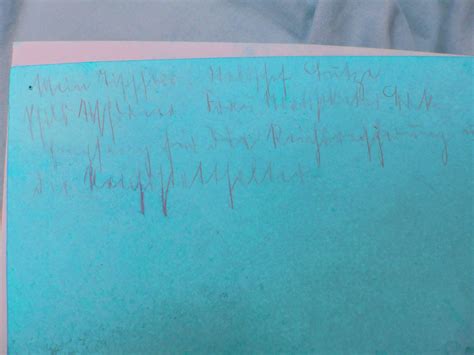 Suetterlin Script Help Needed