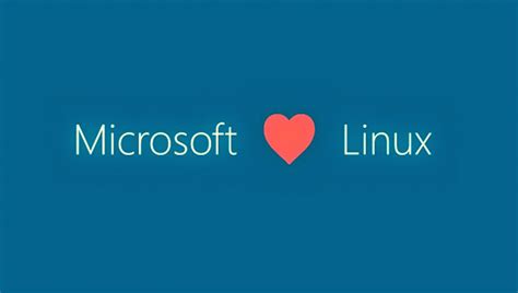 Microsoft добавит файловую систему exFAT в Linux InfoCity