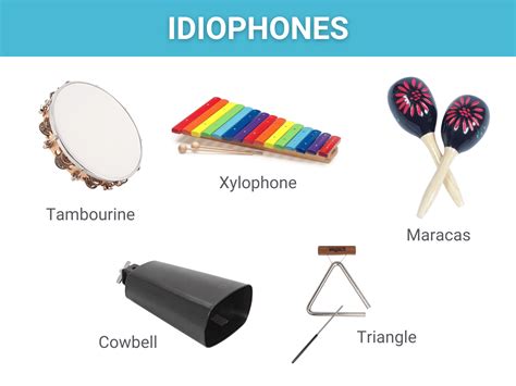 The Ultimate Percussion Instruments List Teds List