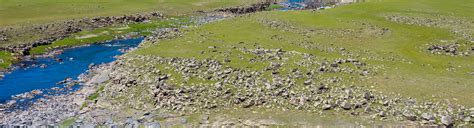 Дэлхийн өв Орхоны хөндийн соёлын дурсгалт газар