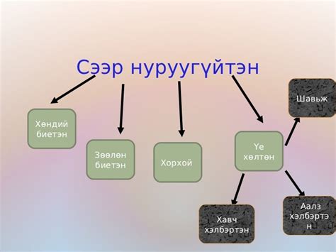 амьтны аймаг