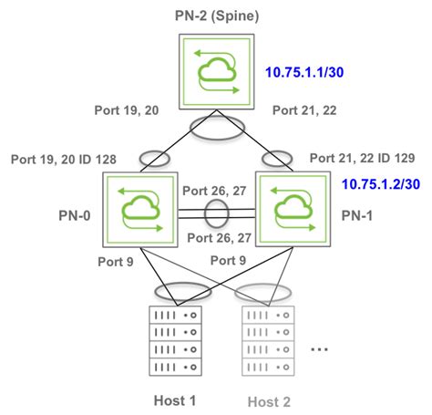 configuring asymmetric routing over vlags