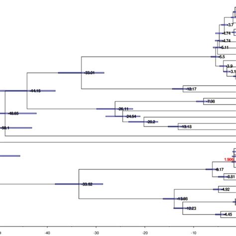 Phylogenomic Analysis Of The Divergence Time And Natural Selection The Download Scientific