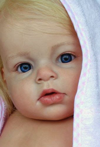 Doll Wrecks Janette Rallison And Cj Hill Books