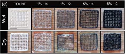 امیدآفرینان مهندسی آینده 3d Printed Patches For Long Term Release Of Drugs To Treat Myocardial