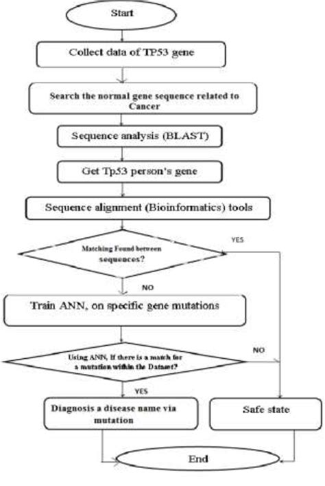 Figure 2 From Effective Data Mining Technique For Classification Cancers Via Mutations In Gene