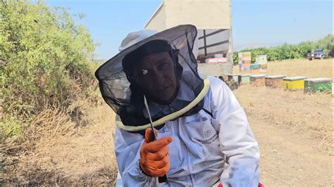 ΨΑΧΝΟΝΤΑΣ ΤΙΣ ΚΑΛΟΚΑΙΡΙΝΕΣ ΓΥΡΕΣ Youtube