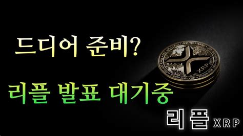리플 드디어 준비 리플 발표 대기중 Youtube