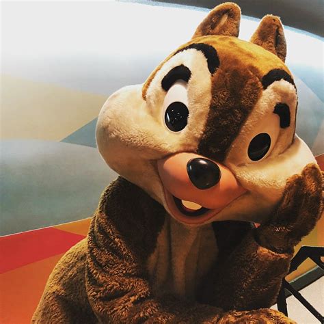 Pin By Paola Delgadillo On Disney Time Chip And Dale Disney Time Disney World Characters