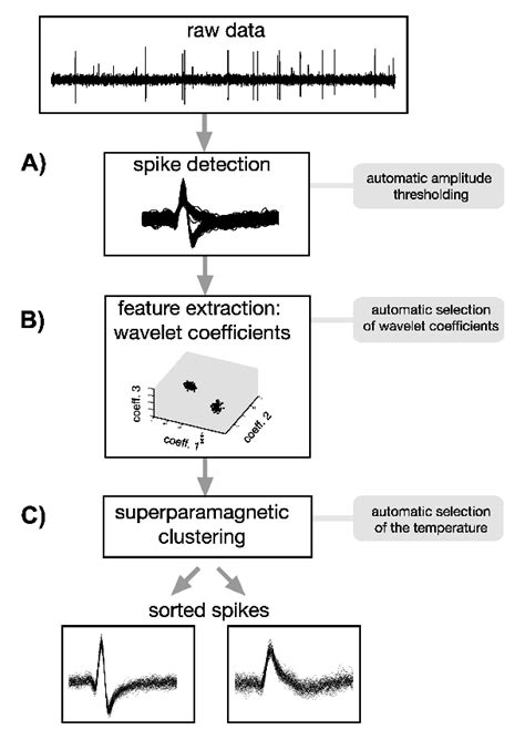 Pdf Unsupervised Spike Detection And Sorting With Wavelets And
