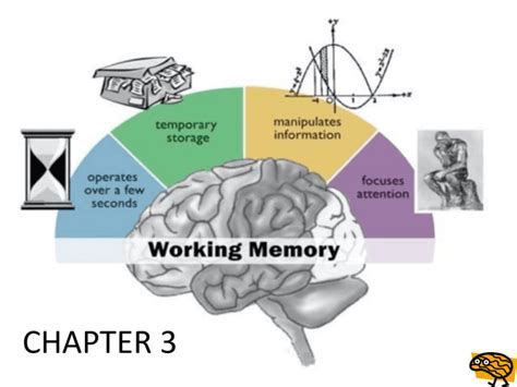 Working Memory Baddeley And Hitch Model Cognitive Psychology