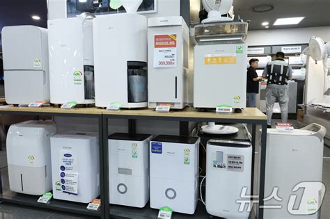 불티나게 팔리는 제습기 뉴스1