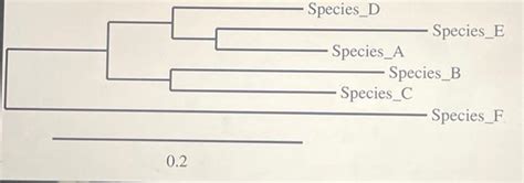 In Addition To Inferring Relationships Among Species