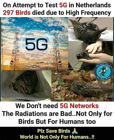 Rajesh Pushkaran On Linkedin Yesterday I Seen 20 And Today Seen