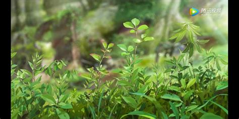 玛丽与魔女之花 花瓣网