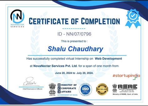 Shalu Chaudhary On Linkedin Webdevelopment Internship Novanectar Careergrowth Learningjourney