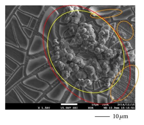 SEM Image Of Fe TiO2 Film Coated On Cu Disc Download Scientific Diagram