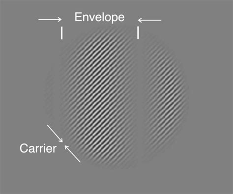 Example Contrast Modulation Cm Stimulus The Stimulus Presented