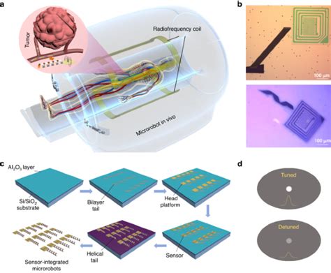 Collections Microsystems And Nanoengineering