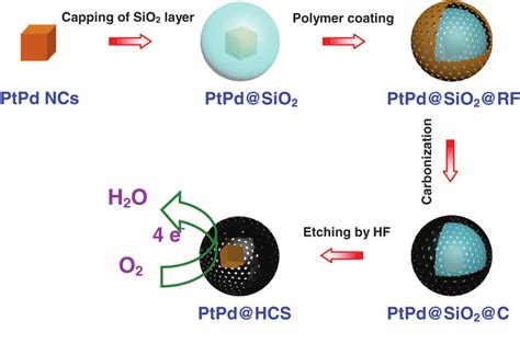 Schematic Illustration Of The Fabrication Process Of Ptpdhcs Download Scientific Diagram