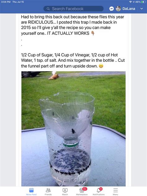 Diy Natural Bug Repellent Spray