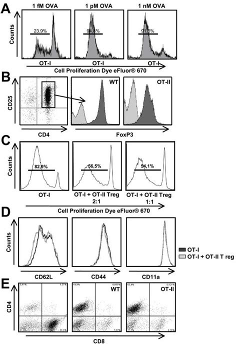 Ot Ii Regulatory T T Reg Cells Suppress Antigen Dependent Expansion
