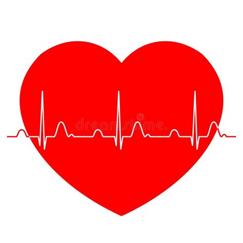 Normal Ecg Electrocardiogram With Red Heart Stock Vector Illustration