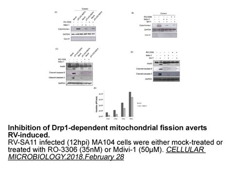 美国apexbio中文官网 Ro 3306 An Atp Competitive Potent Cdk1 Inhibitor