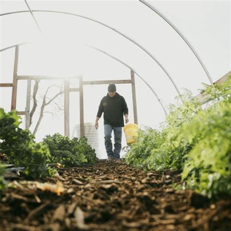 High Tunnel Winter Growing What You Need To Know For A Successful
