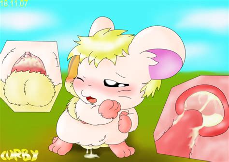 Rule 34 2007 Blush Cum Curby Female Feral From Behind Hamster Hamtaro