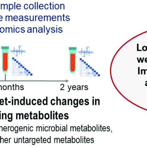 Dna Methylation At Txnip And Schematic Function Of Download Scientific Diagram