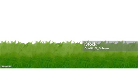 손으로 그린 수채화 추상 푸른 잔디 단풍 나뭇가지 봄과 여름 결혼식 생일 인사말 카드 메뉴 배너 테두리를 위한 나뭇잎 0명에